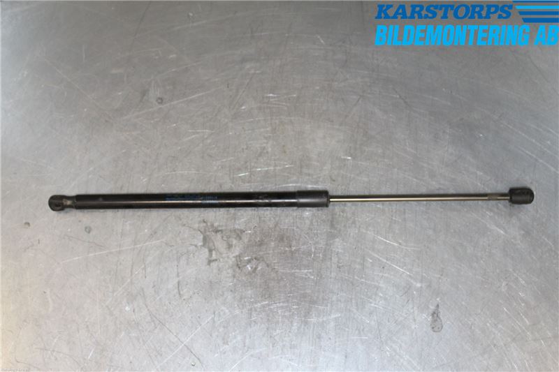 31395910 : Gasdemper achterklep - Autoparts24