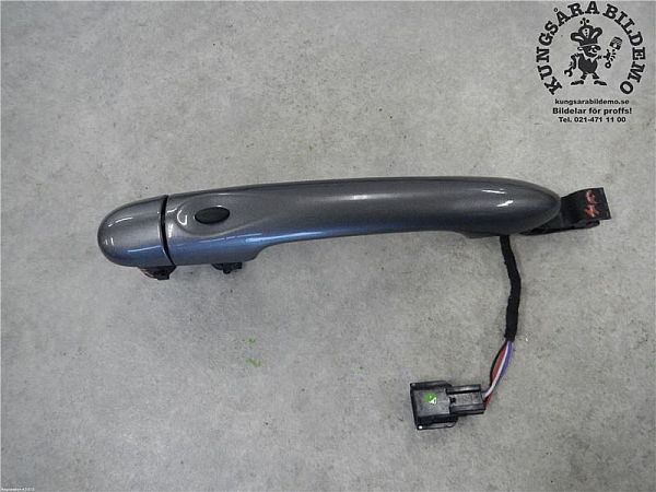 285989032R : Poignée exterieur - Autoparts24