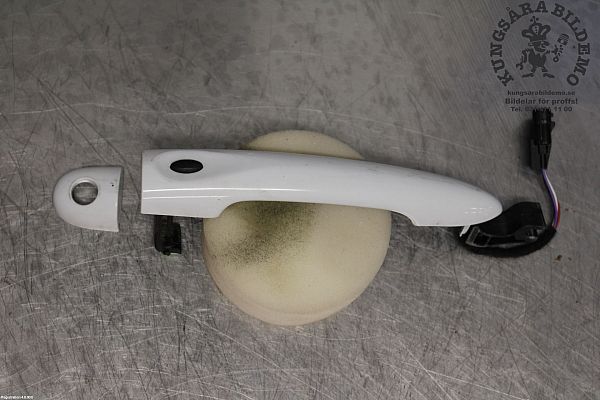 285989032R : Handgreep / deurgreep achterklep - Autoparts24